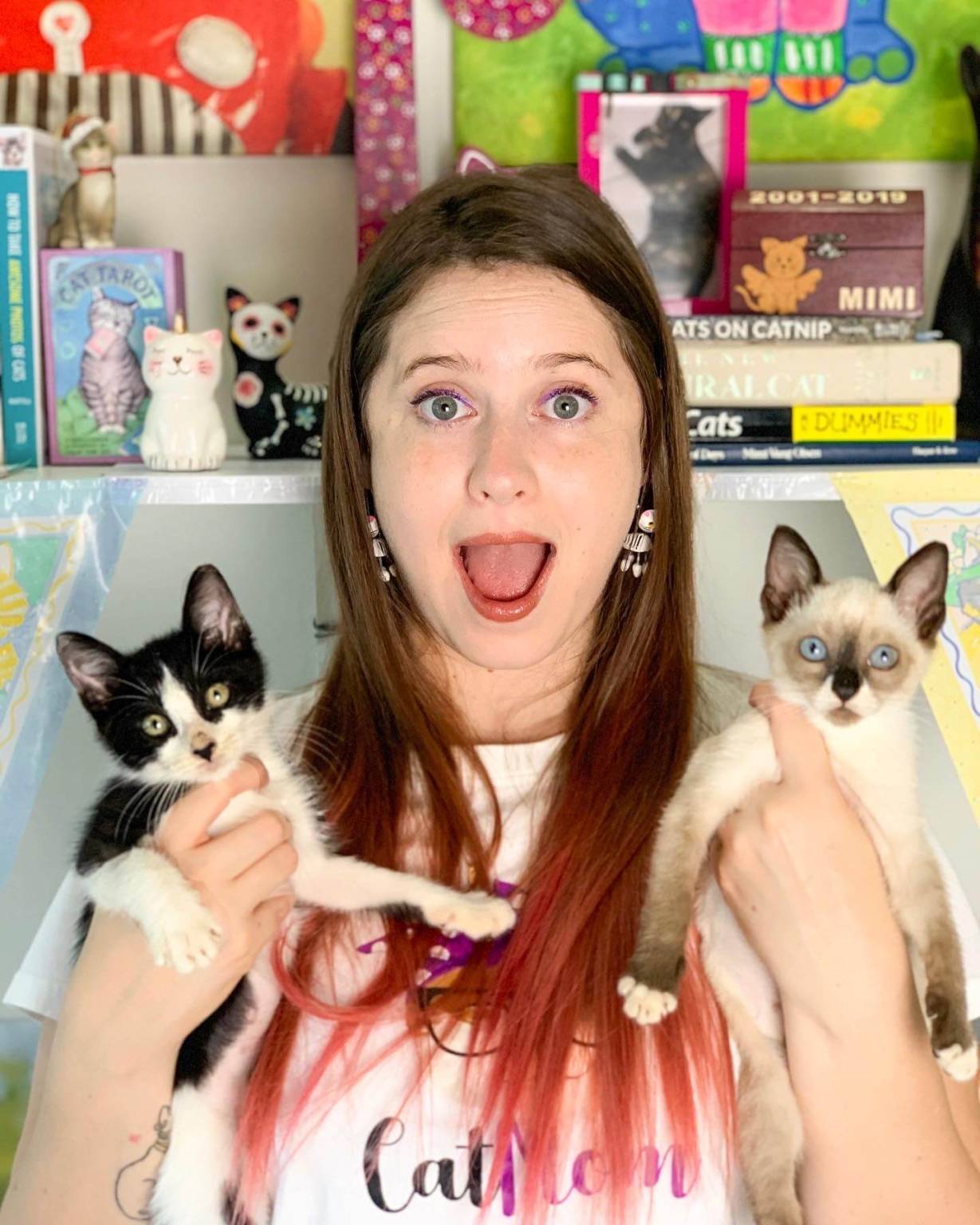 ¿Qué es Catfé? – Catfe Bienestar Felino